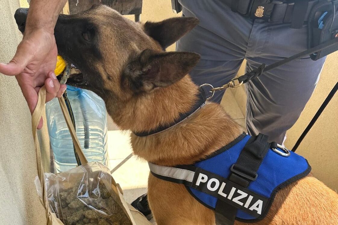 Catania, in uno scantinato a Librino recuperato 1,5 kg di droga: grazie ...